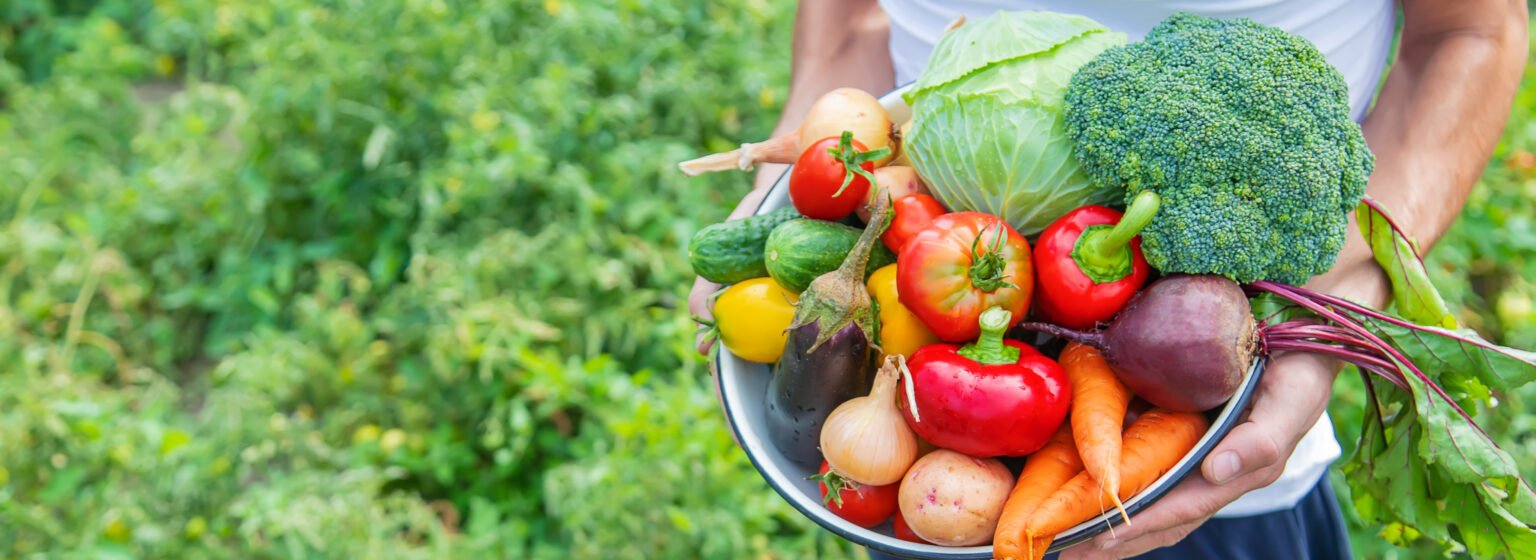 Home - Berrydale Foods