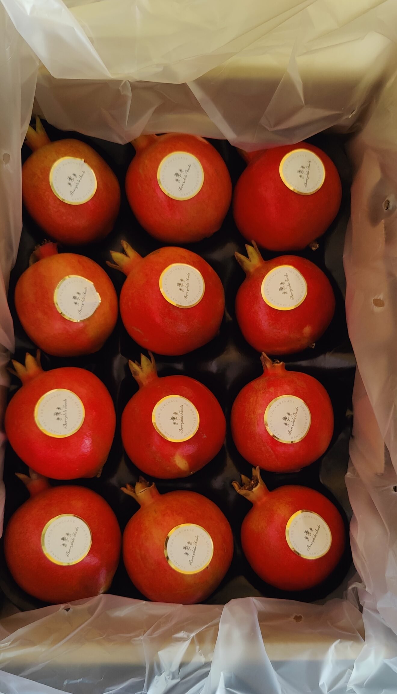 Berrydale Foods - Top exporter of mangoes and other fruits of India